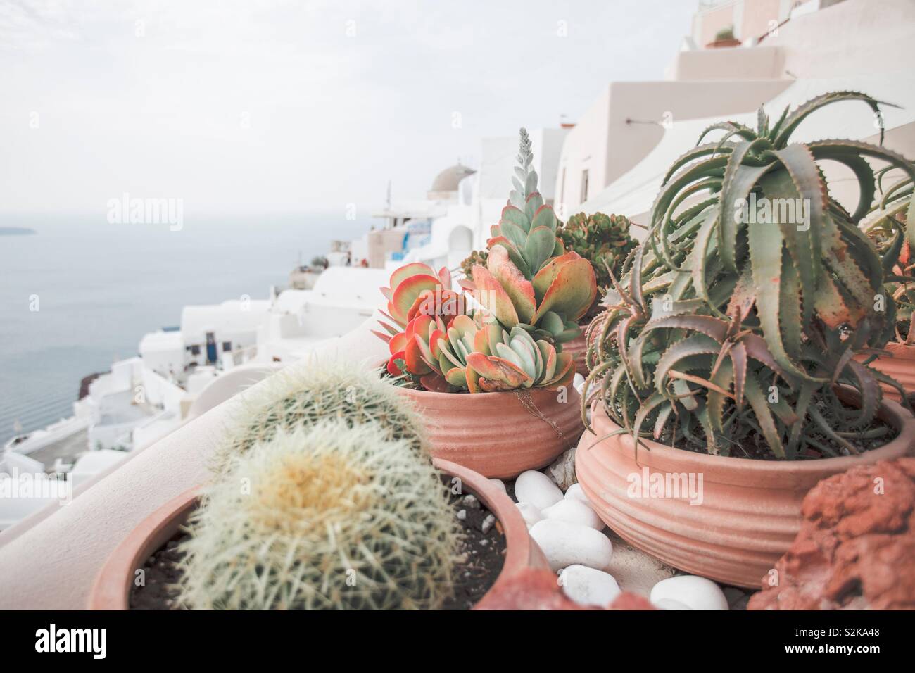 Modern plants hi-res stock photography and images - Alamy