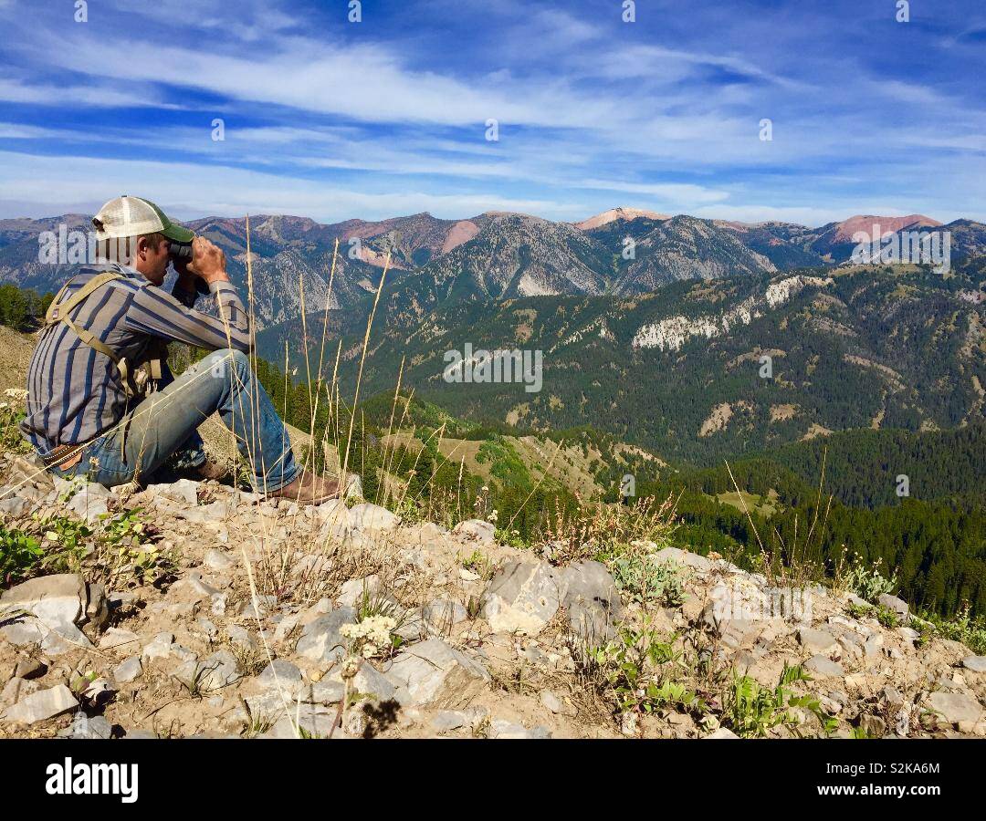 Wyoming hunter scouting elk in the mountains with binoculars Stock ...
