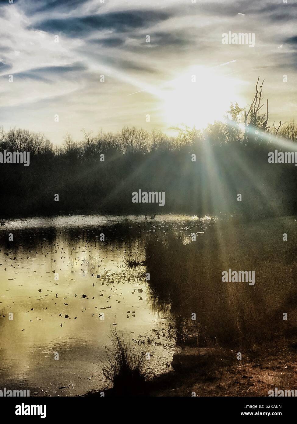 Pond tranquility hi-res stock photography and images - Alamy