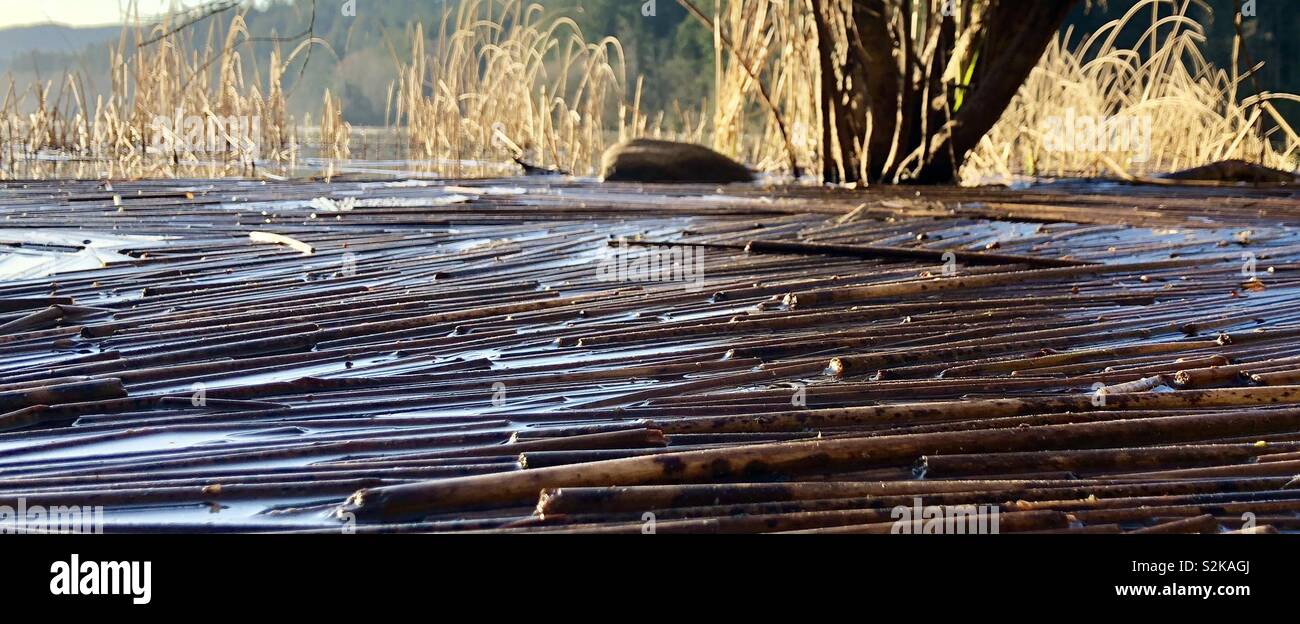 Floating park hi-res stock photography and images - Alamy