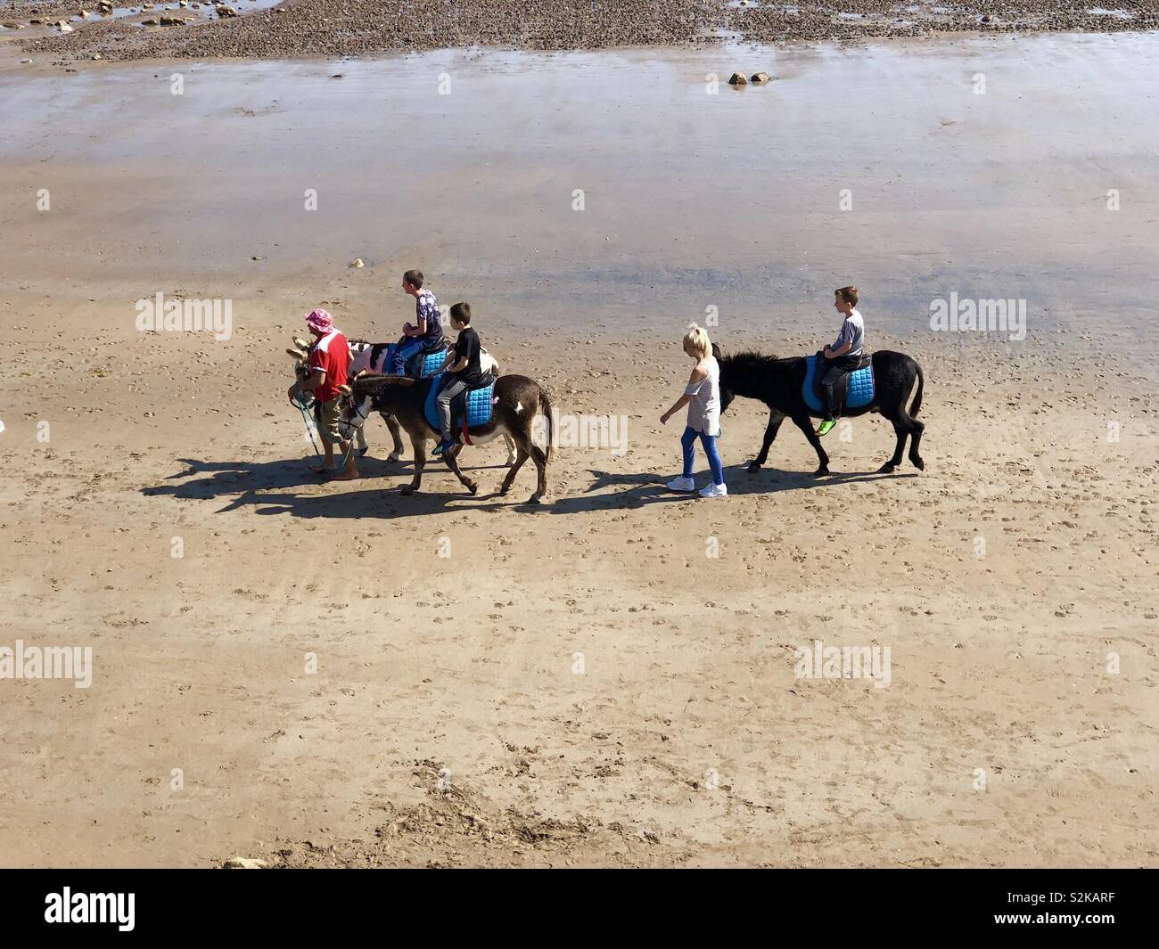 Donkey rides on the beach Stock Photo - Alamy