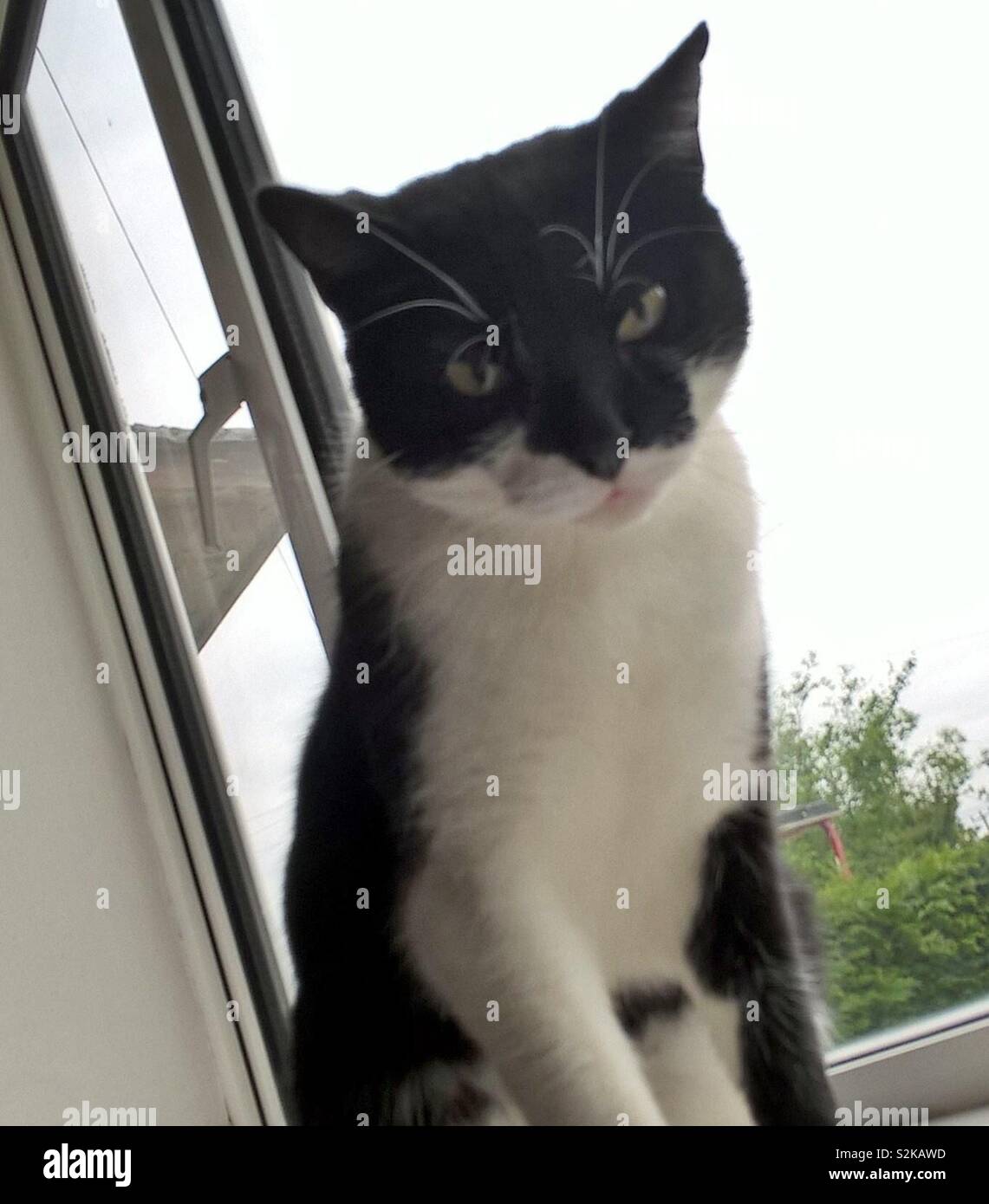 Unamused hi-res stock photography and images - Alamy