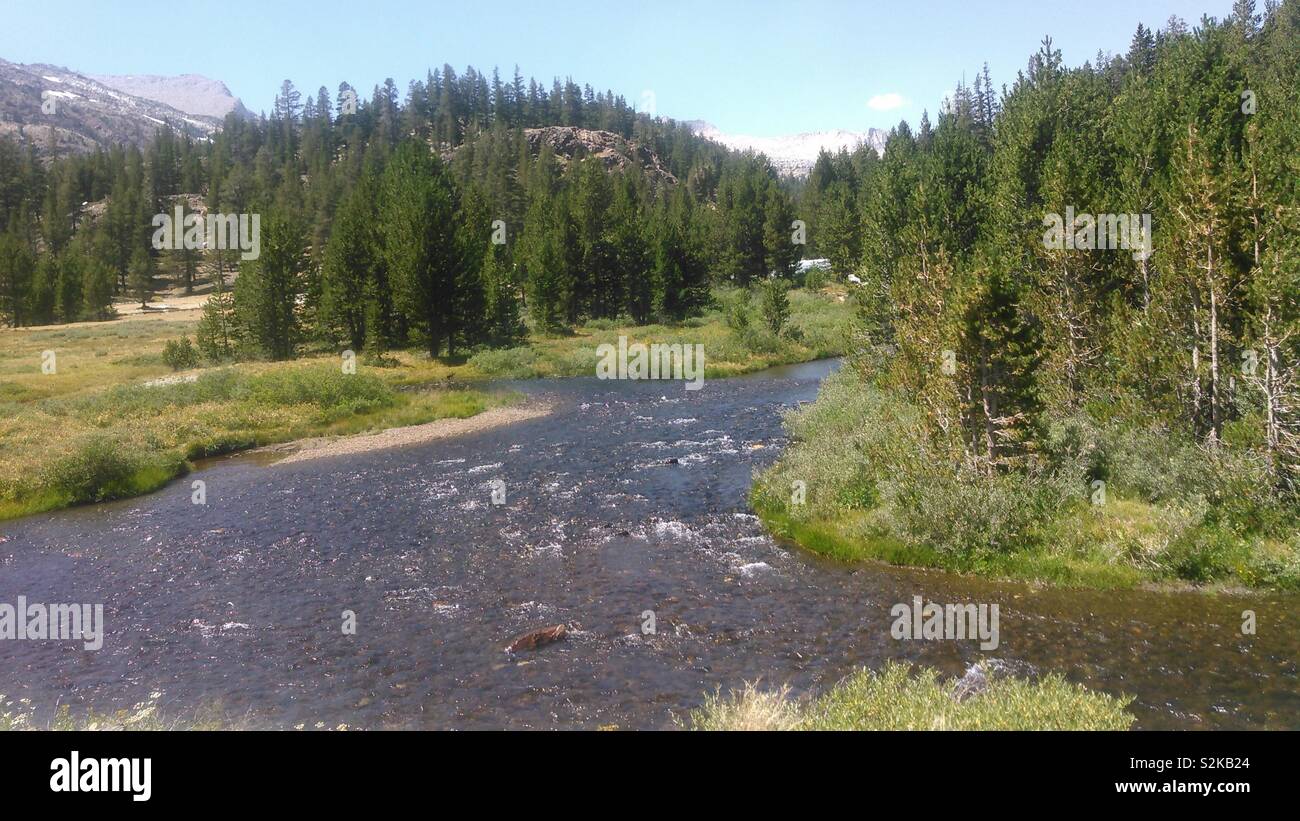 High mountain stream Stock Photo - Alamy
