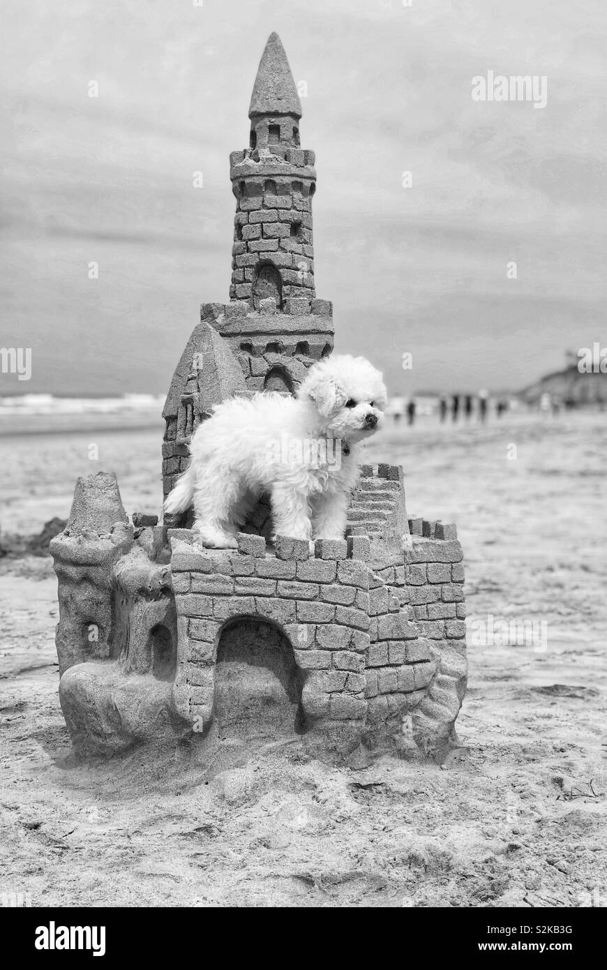 Prince Teddy standing strong at his sandy castle Stock Photo - Alamy