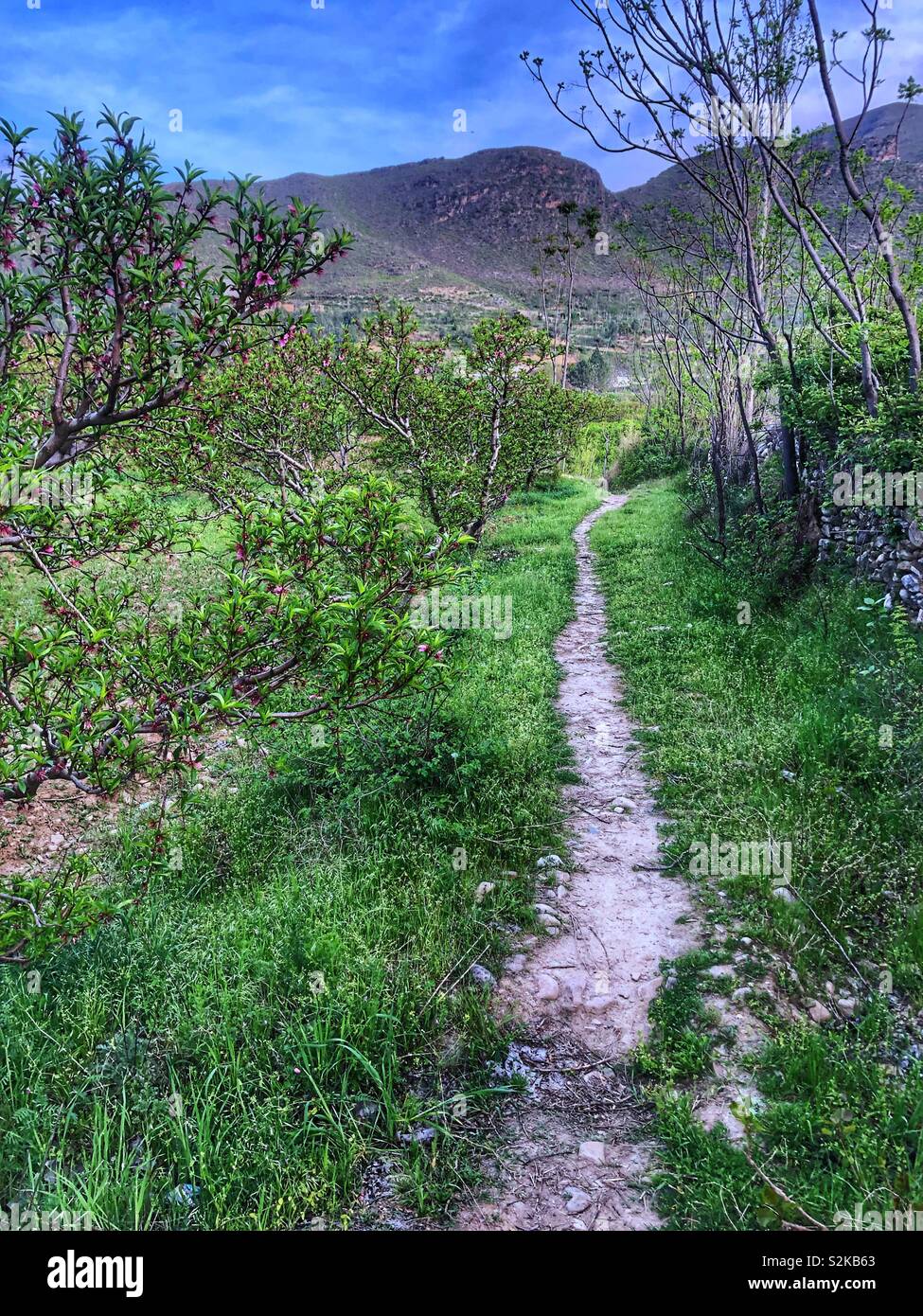 Pathway to hope hi-res stock photography and images - Alamy