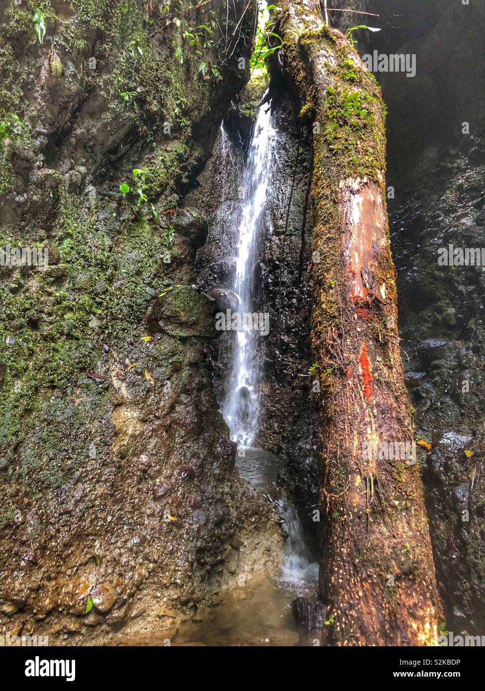 A cozy refreshing waterfall pool in the rain forest in Costa Rica Stock ...