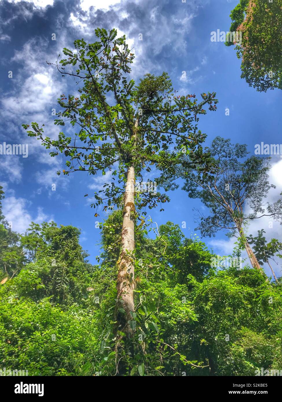 Beautiful Costa Rica Stock Photo - Alamy