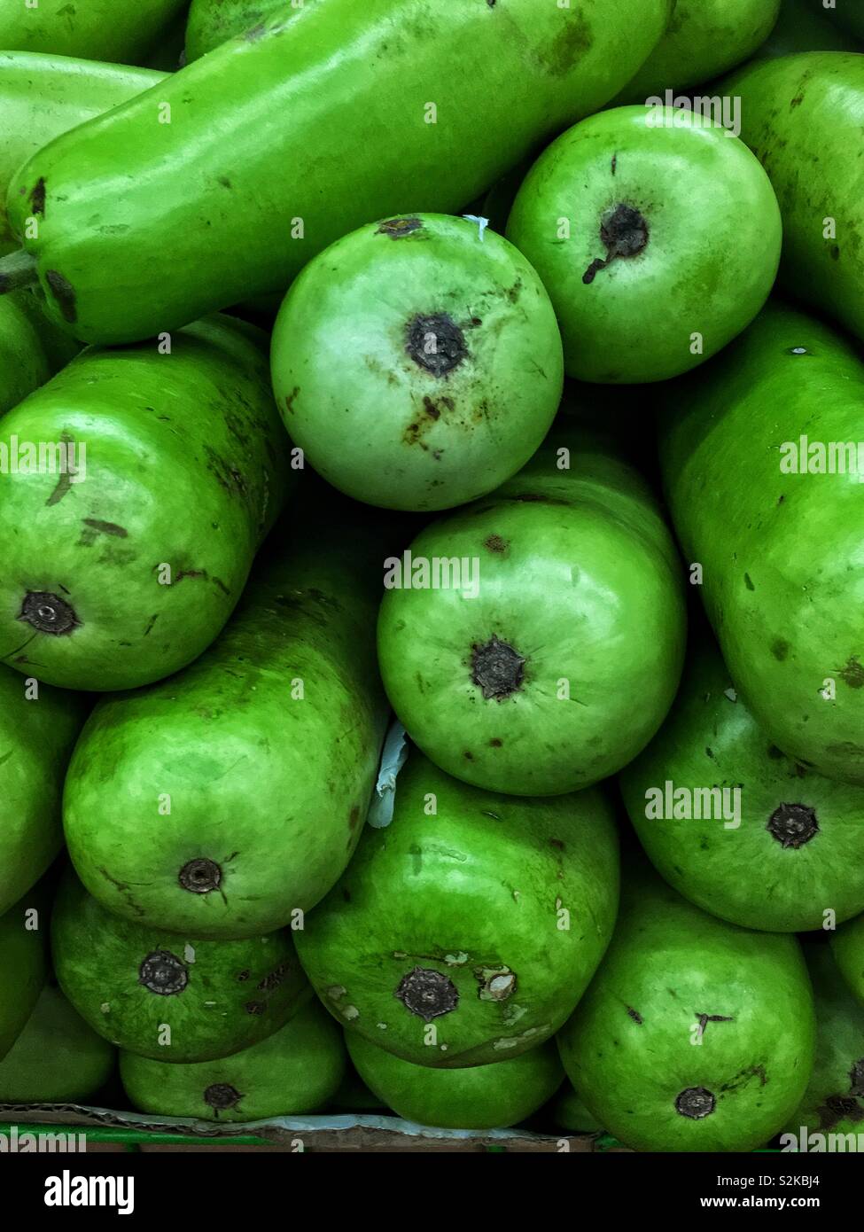 Opo squash hi-res stock photography and images - Alamy
