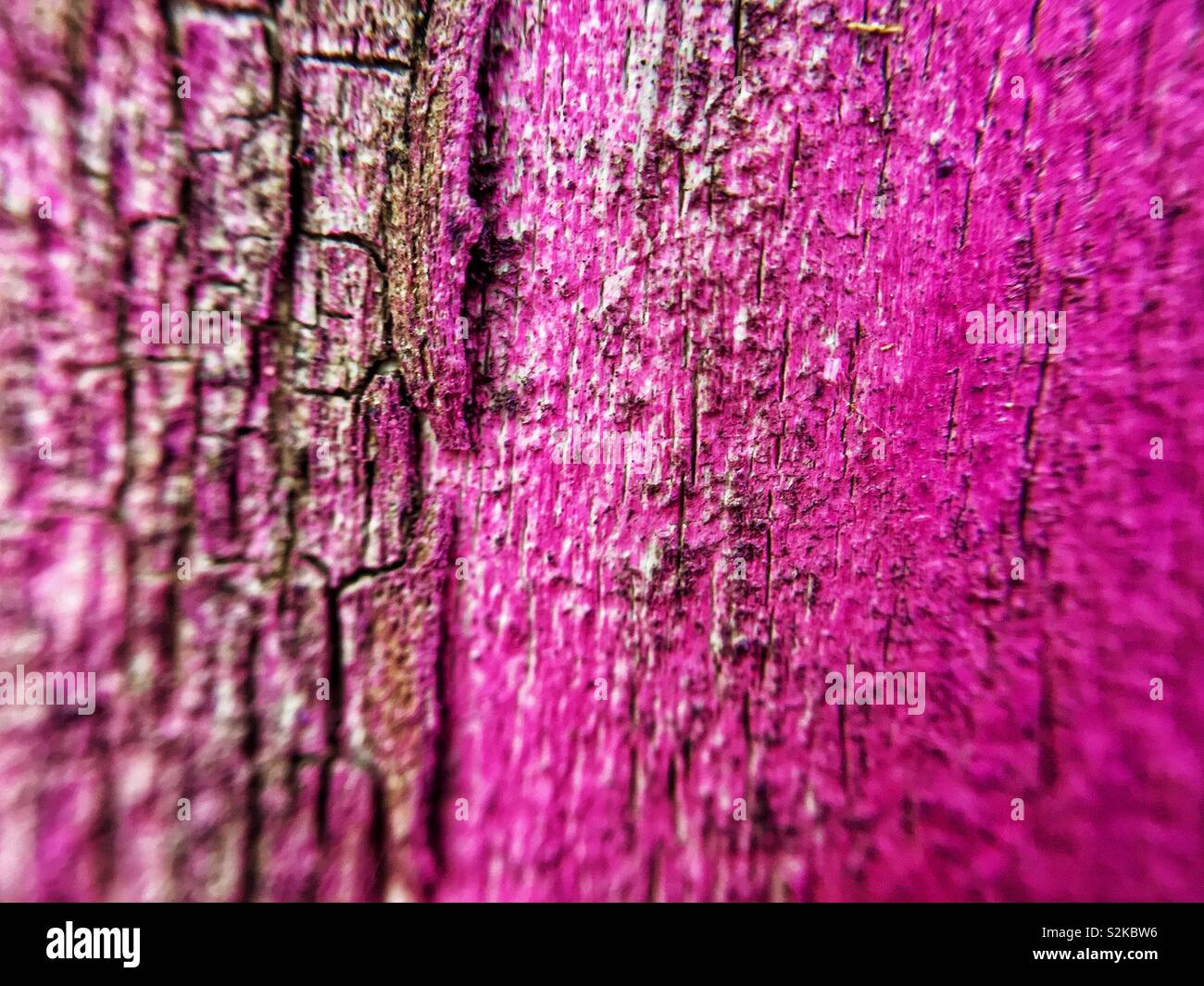 Pink tree wood hi-res stock photography and images - Alamy