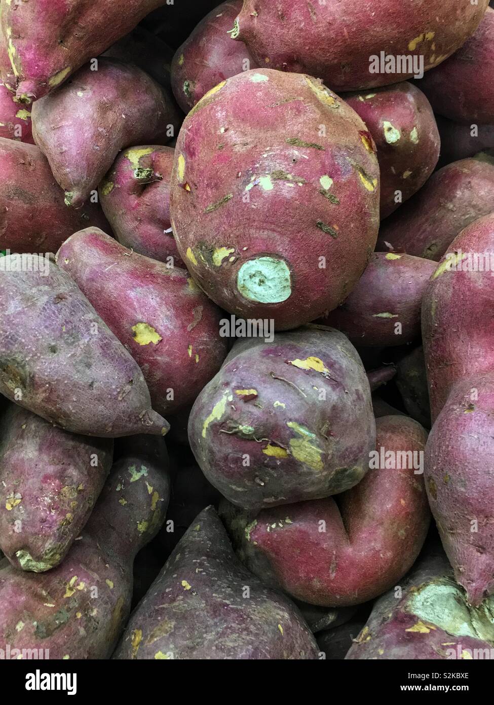 Full frame of farm fresh red potatoes packed into a bin on display and ...
