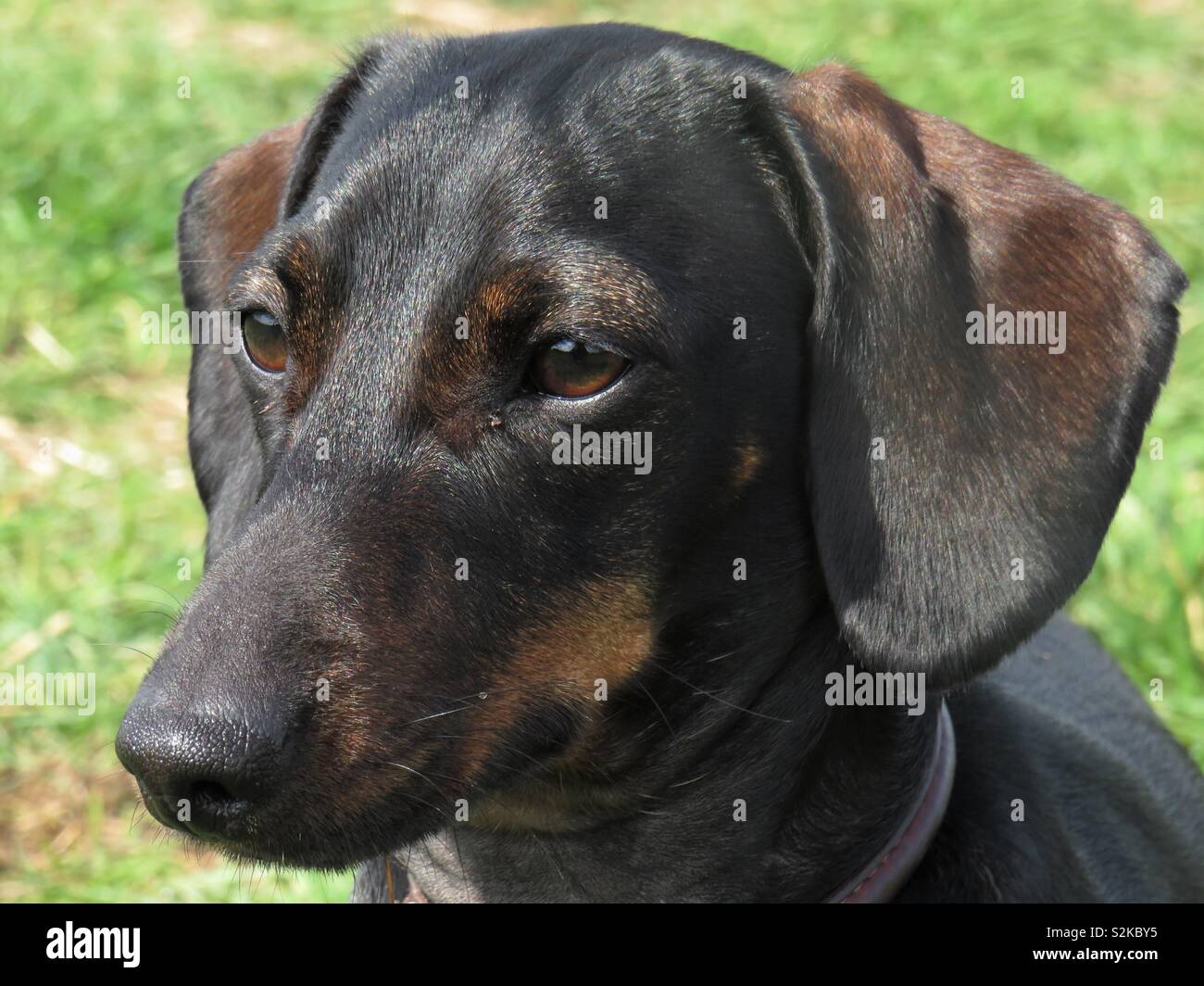Mini mol hi-res stock photography and images - Alamy