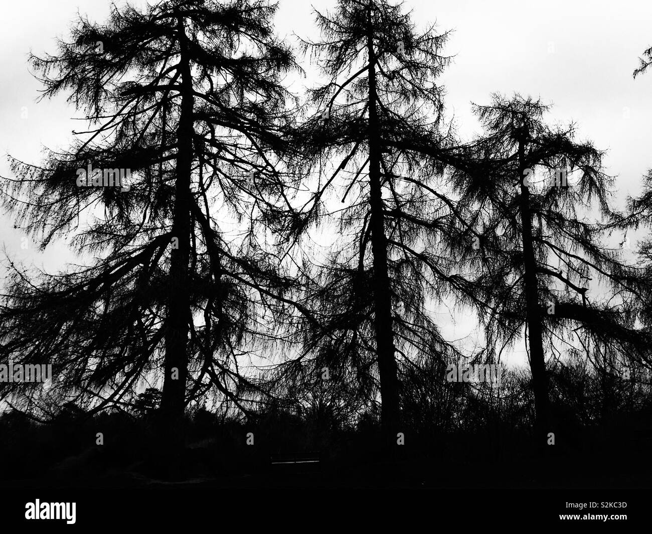 Winter is coming Stock Photo - Alamy