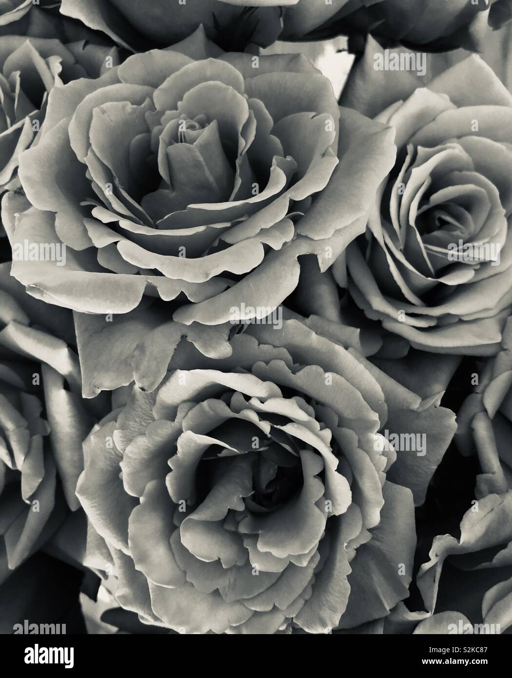 Shades For Gray High Resolution Stock Photography and Images - Alamy