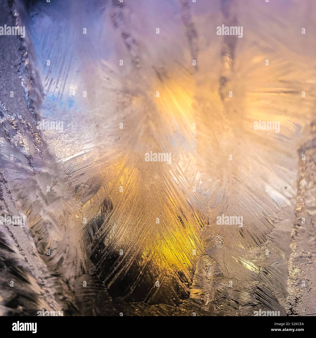 Ice feathers hi-res stock photography and images - Alamy