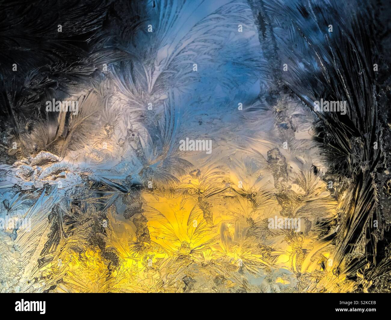 Ice Ice baby Stock Photo - Alamy