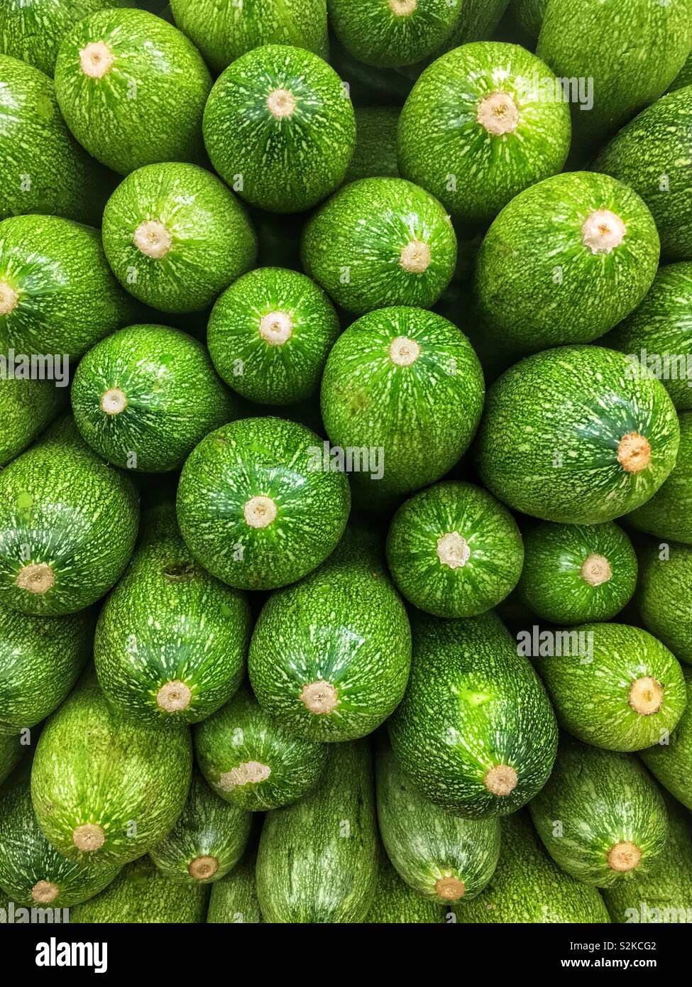 Fresh vegetables produce frame hi-res stock photography and images - Alamy