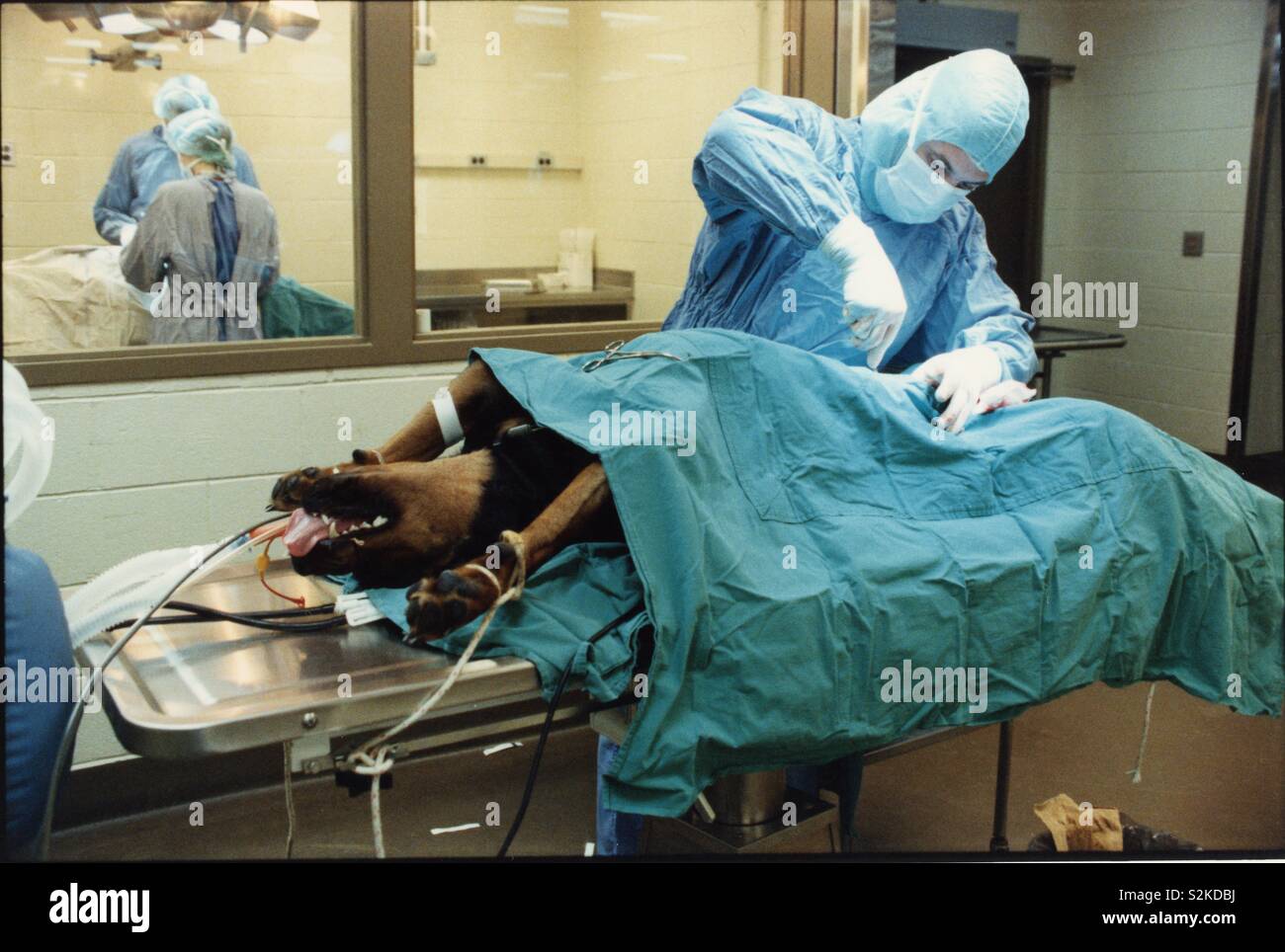 German operating room hi-res stock photography and images - Alamy