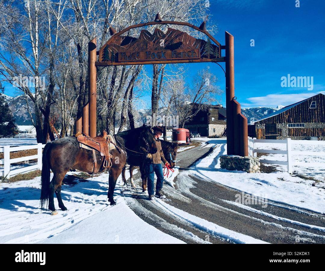 Wyoming ranch horse smartphone stock photos and images - Alamy