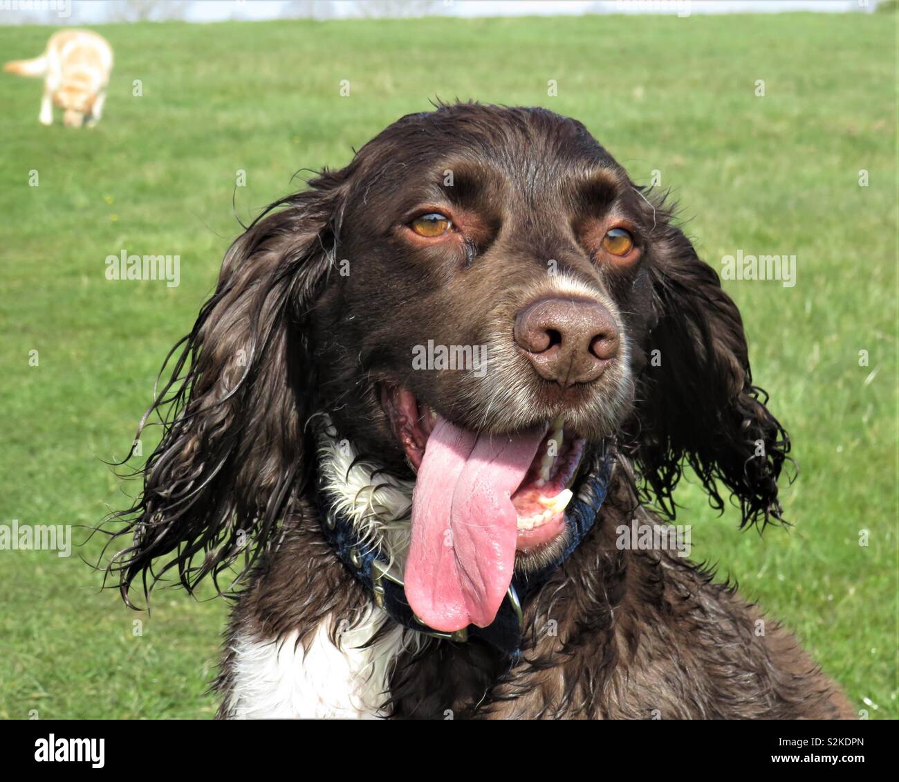 Cheeky chap hi-res stock photography and images - Alamy