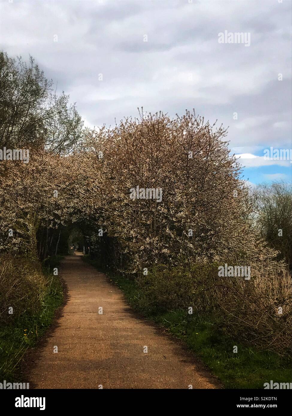 Archway walk hi-res stock photography and images - Alamy