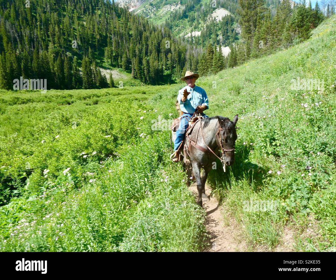 Wyoming rancher on a trail ride in the grand Teton mountains of Wyoming ...