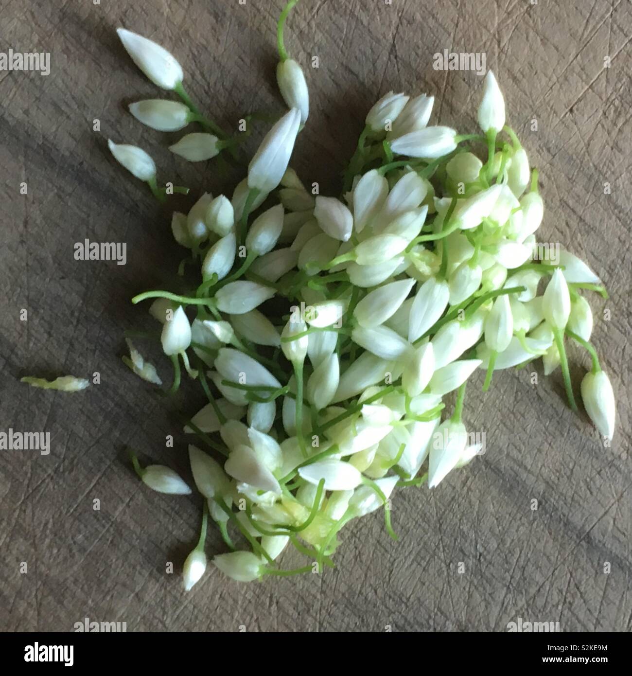 Ransom flower hi-res stock photography and images - Alamy