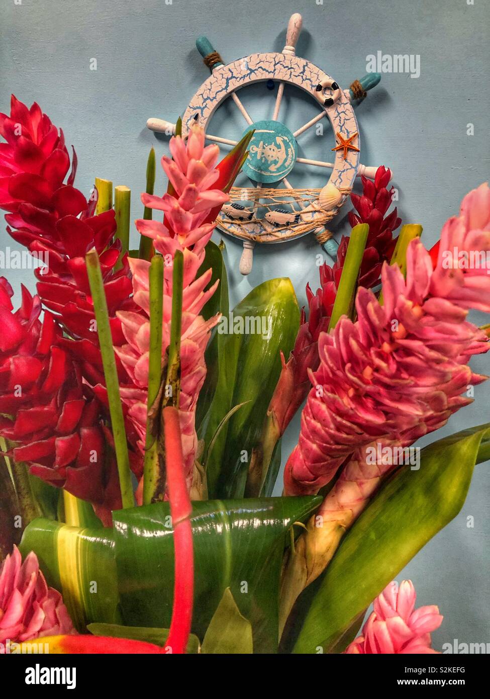 Fresh interior greenery hi-res stock photography and images - Alamy