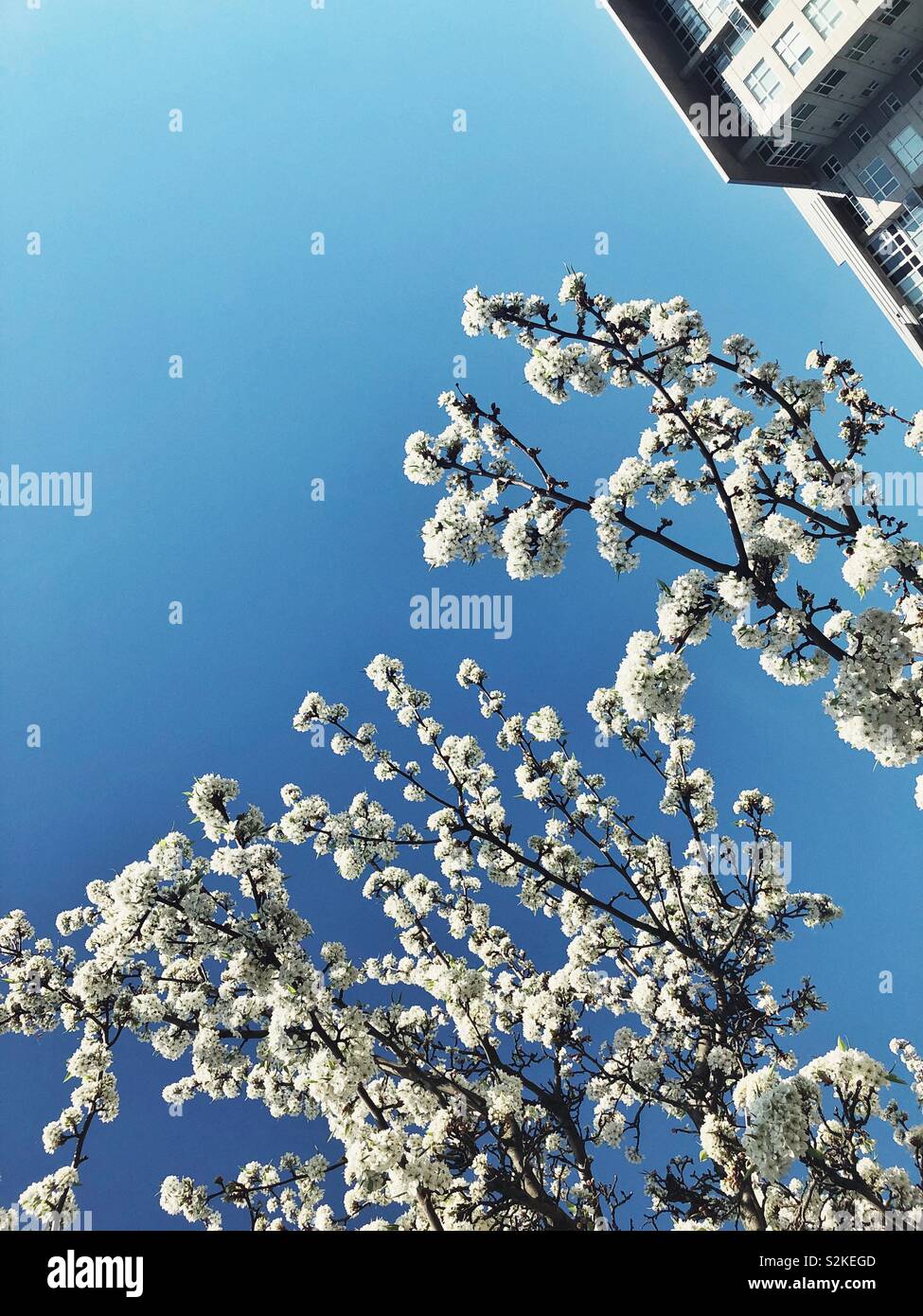 Spring in the city Stock Photo - Alamy