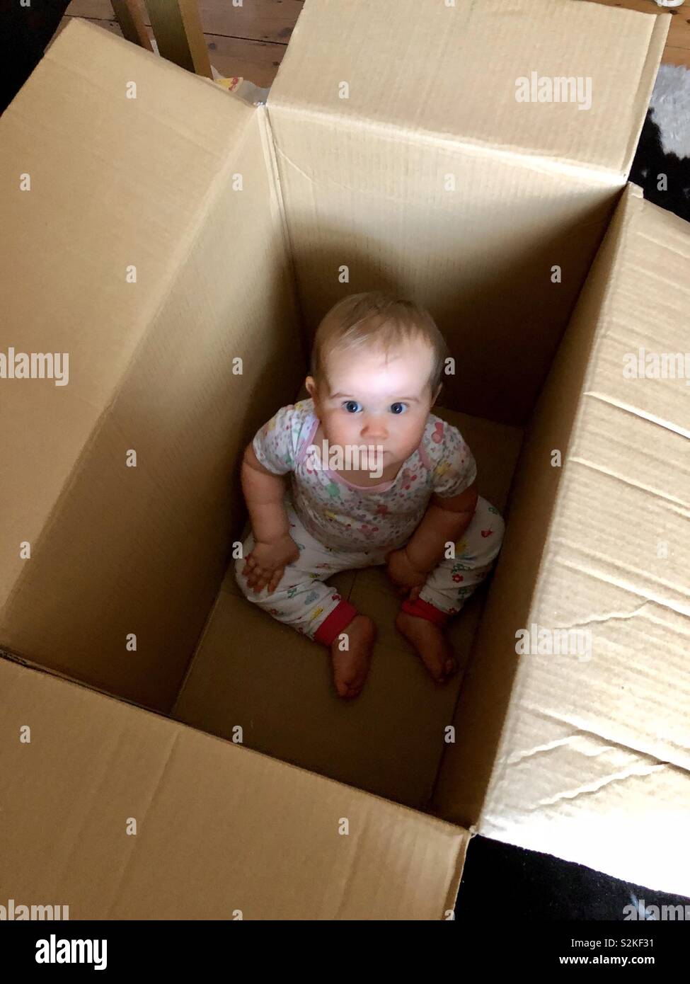 Baby inside large box patiently waiting to be rescued Stock Photo - Alamy