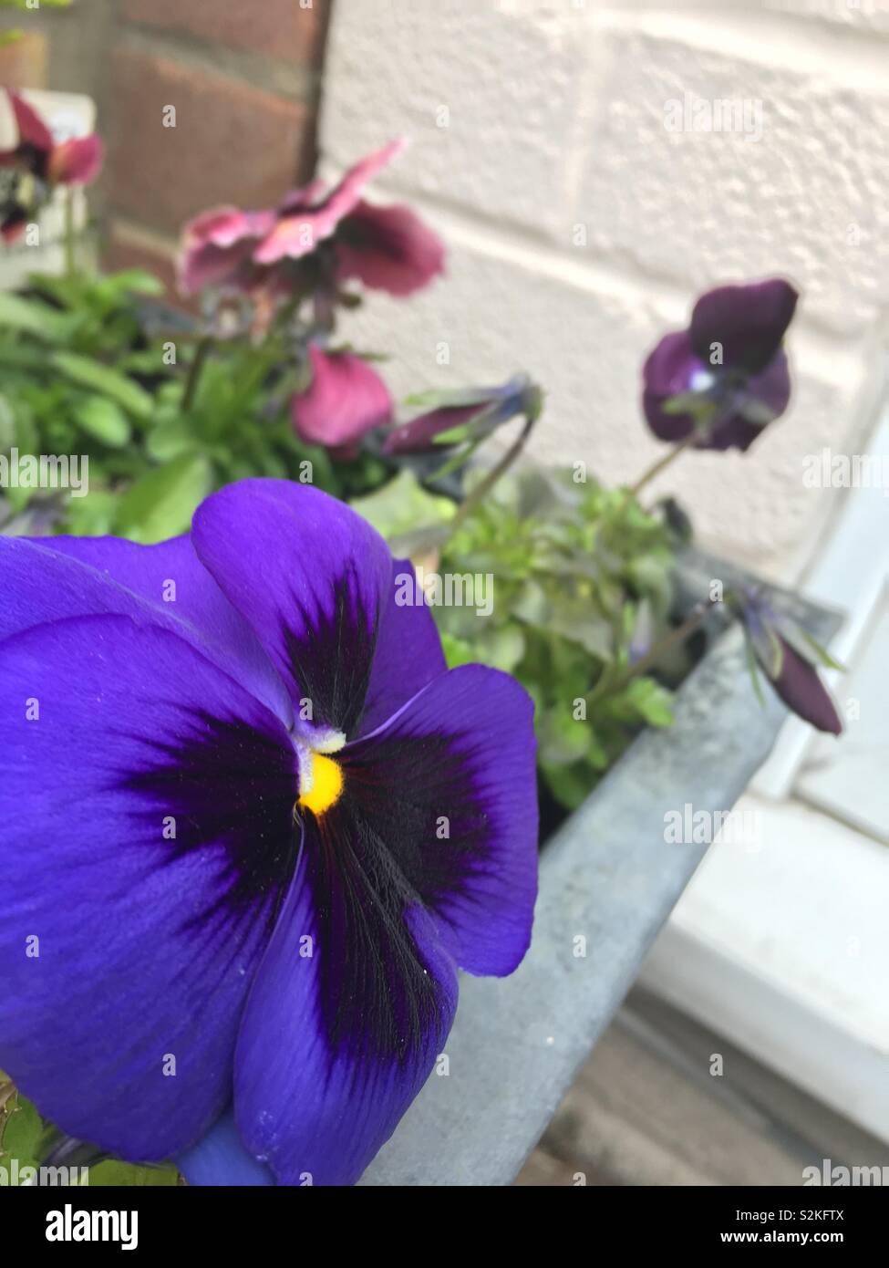 Weird angle hi-res stock photography and images - Alamy