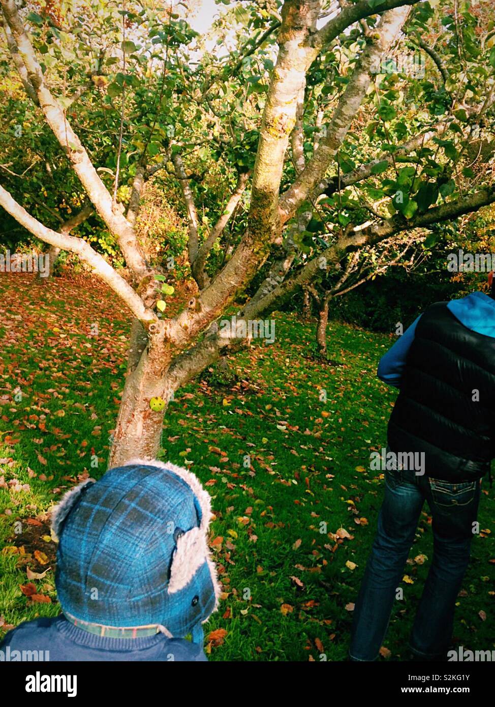 Child following father through some trees Stock Photo - Alamy