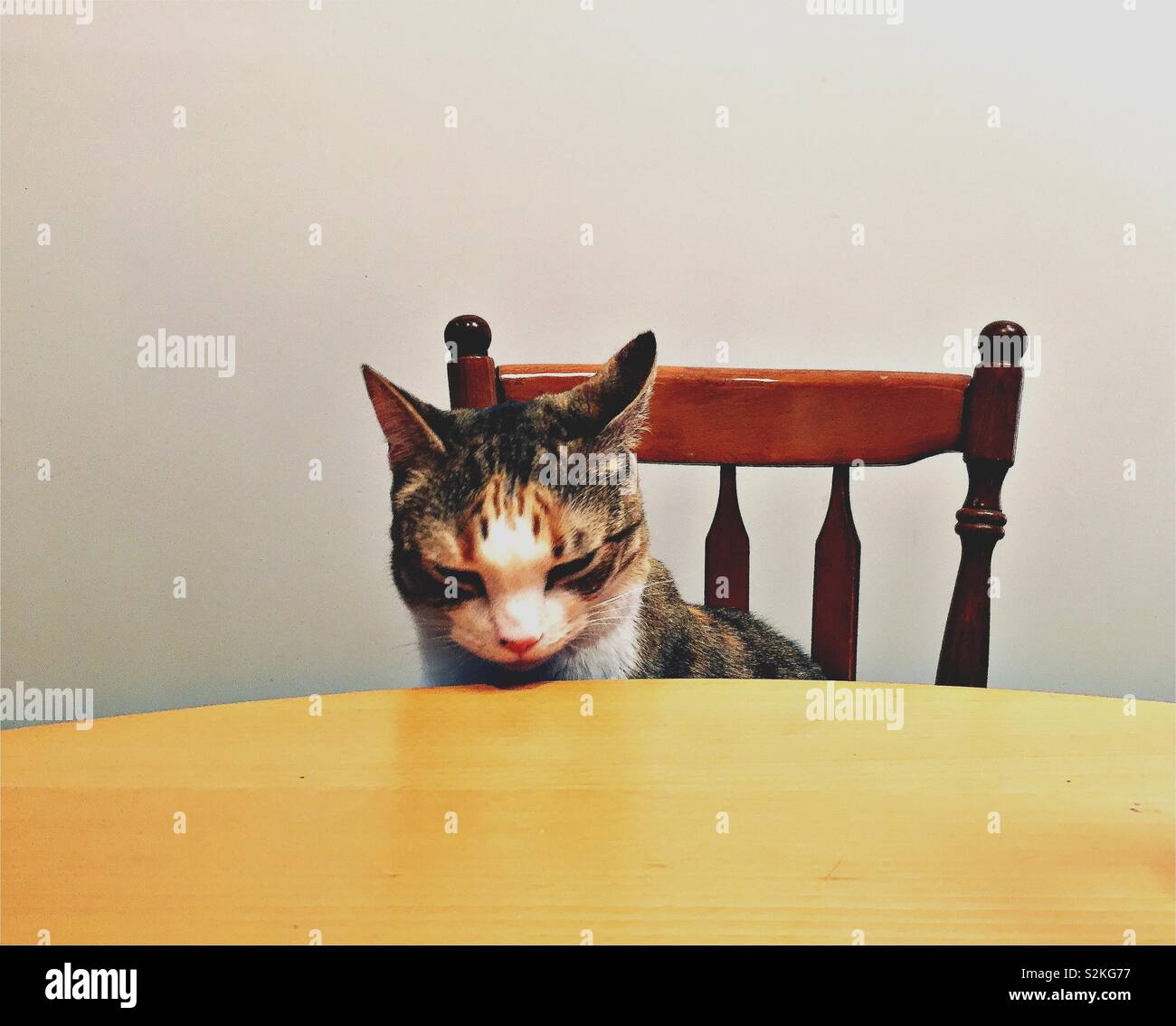 Family waiting table hi-res stock photography and images - Alamy