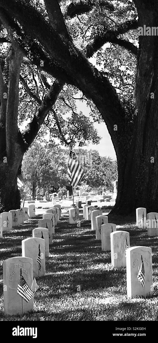 American Flags Through The Oaks. Magnolia Cemetery, Mobile Alabama ...