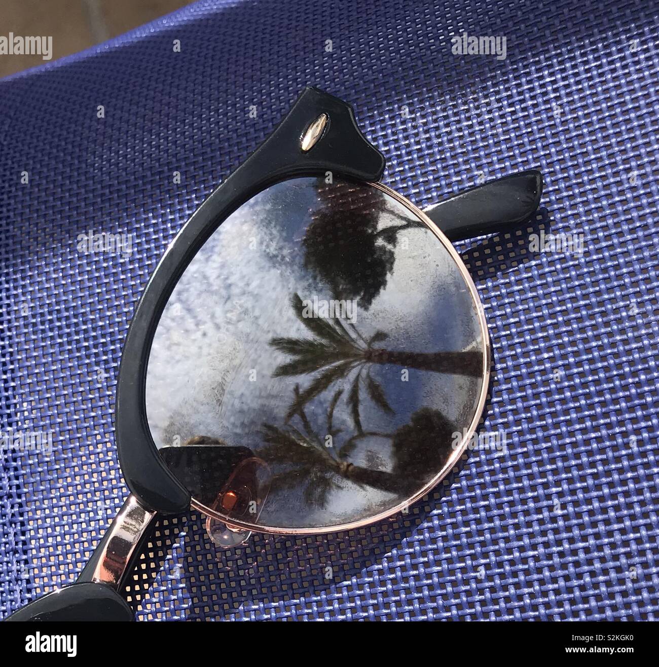 Palm tree reflection Stock Photo - Alamy