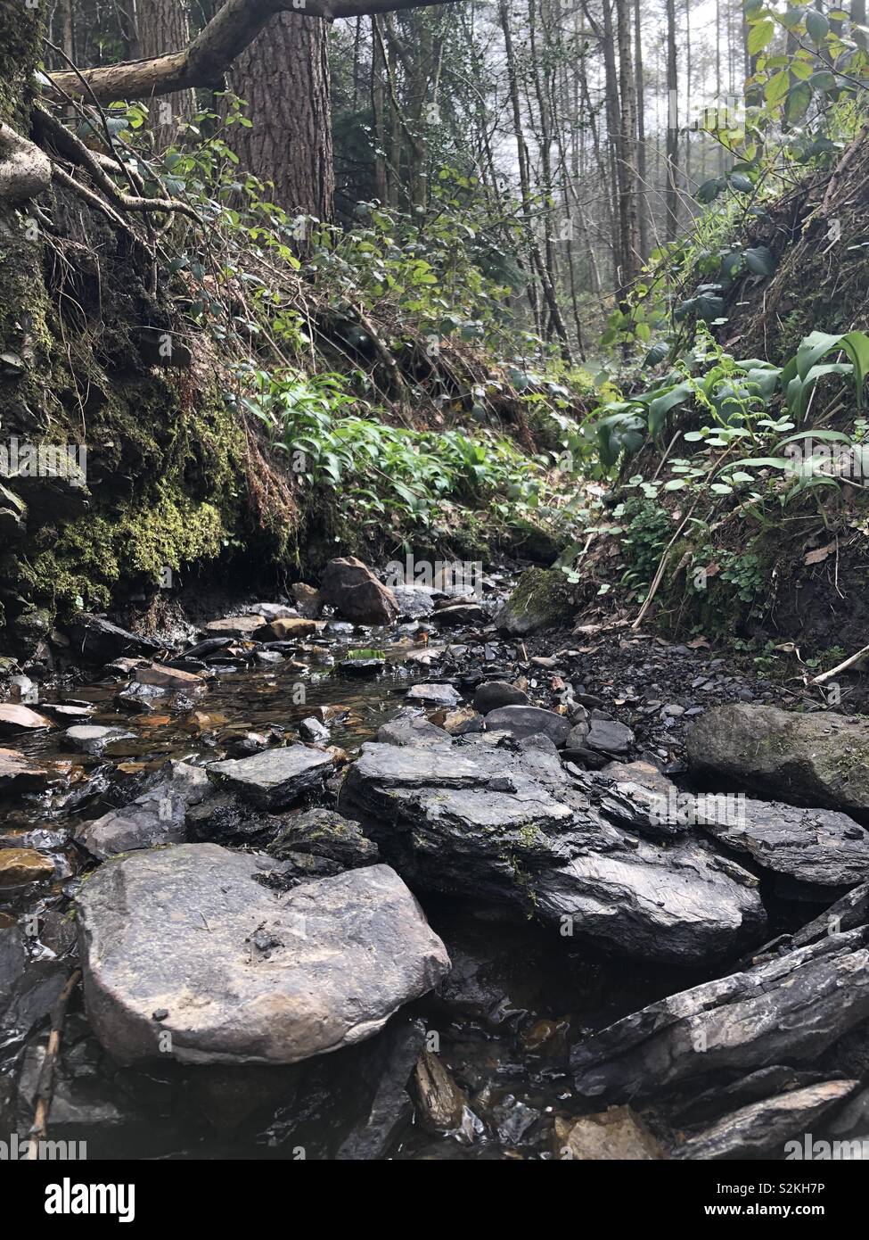 Etherow Country Park High Resolution Stock Photography and Images - Alamy