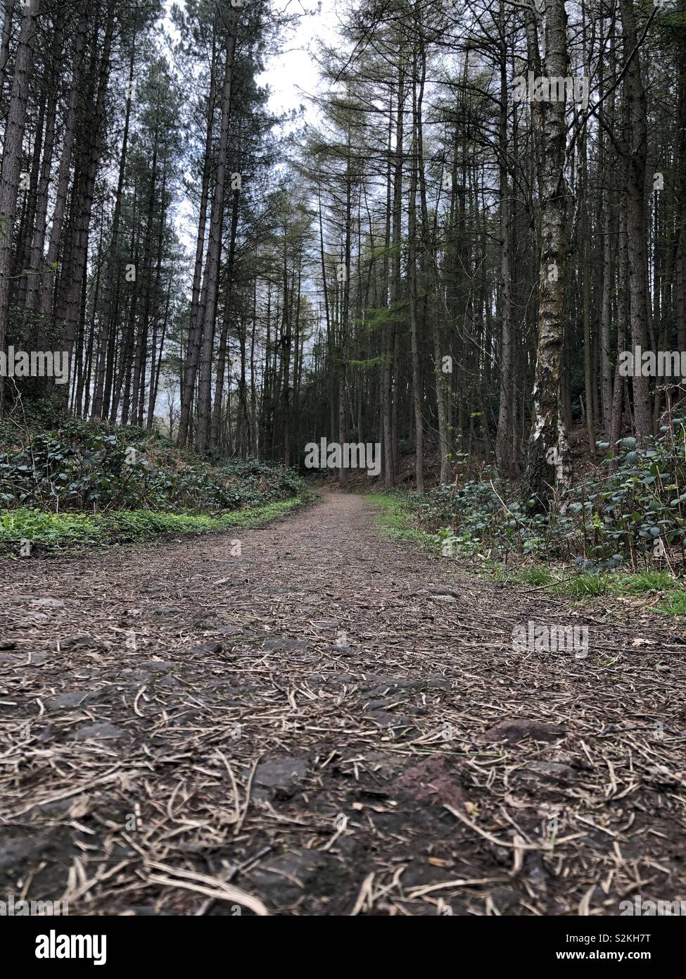 Etherow Country Park High Resolution Stock Photography and Images - Alamy