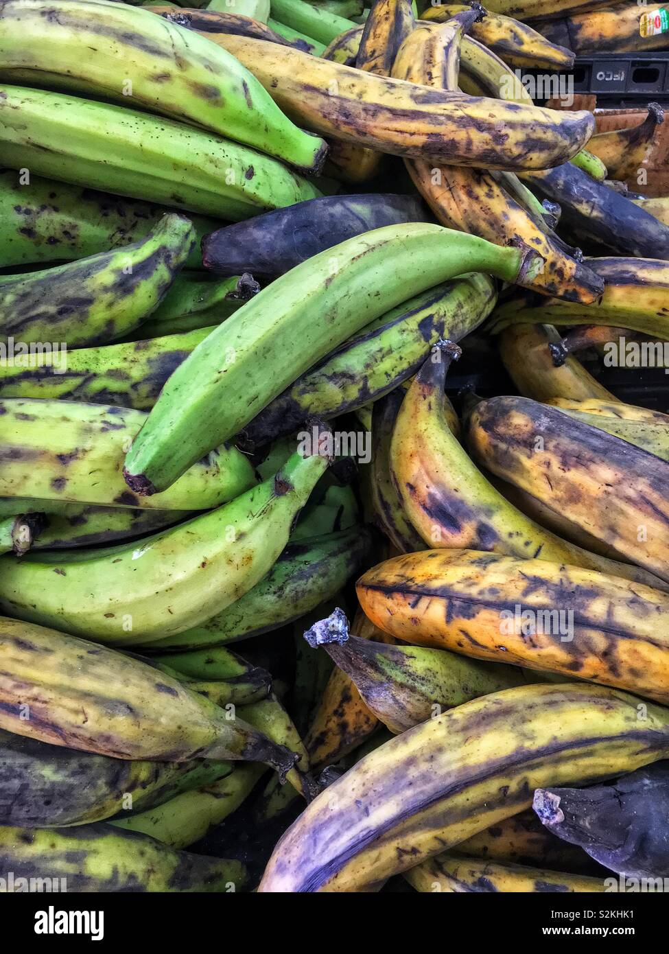 Plantains hi-res stock photography and images - Alamy