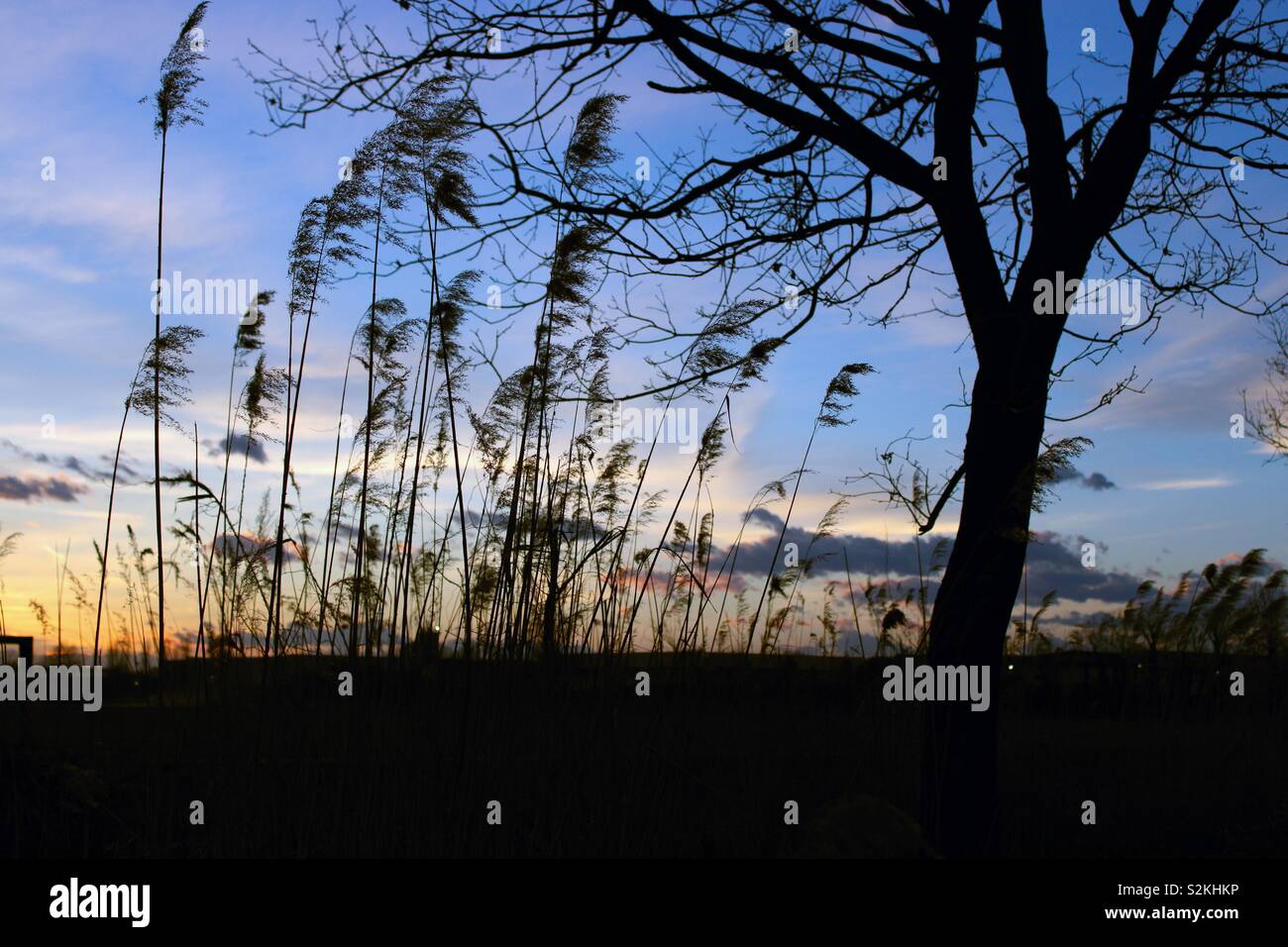 Sky natural hi-res stock photography and images - Alamy