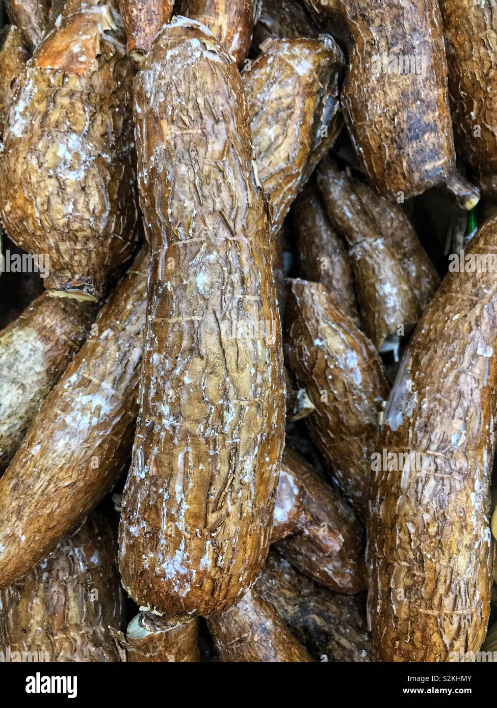 Full frame of fresh delicious ripe tropical yuca, manihot esculenta ...