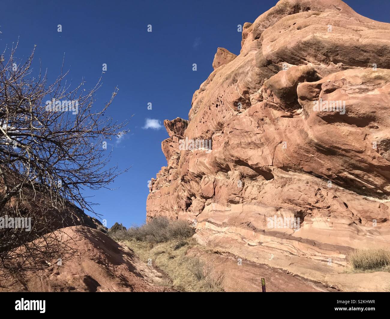 Red rocks tree hi-res stock photography and images - Alamy