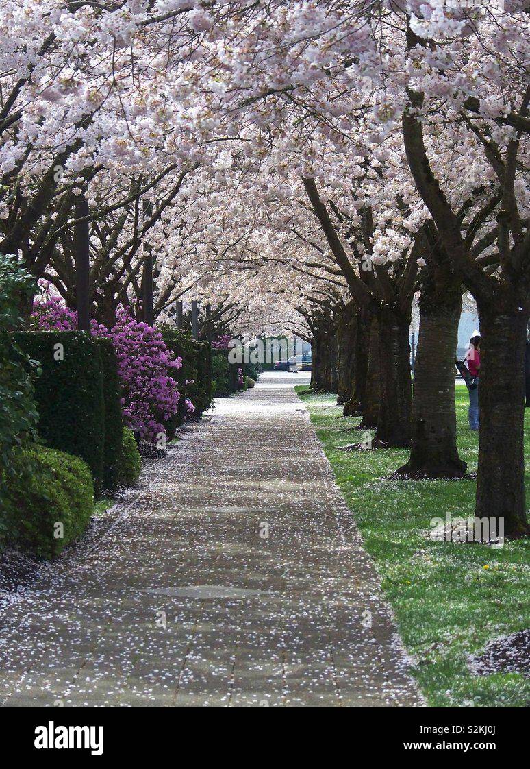 Pathway In London Stock Photo - Alamy