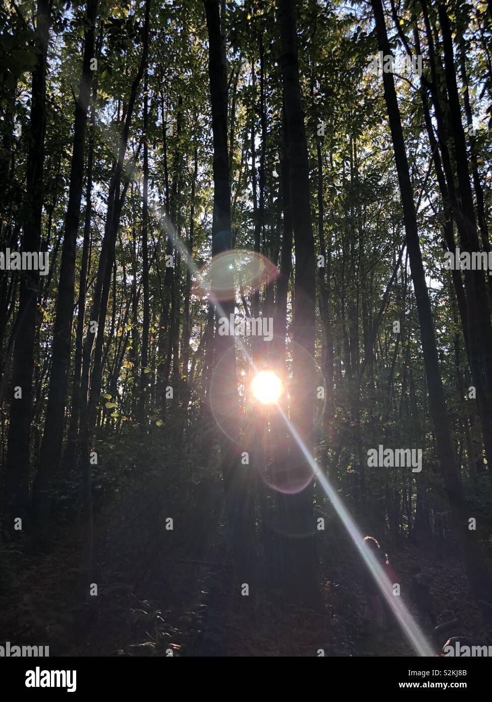 Light leak hi-res stock photography and images - Alamy