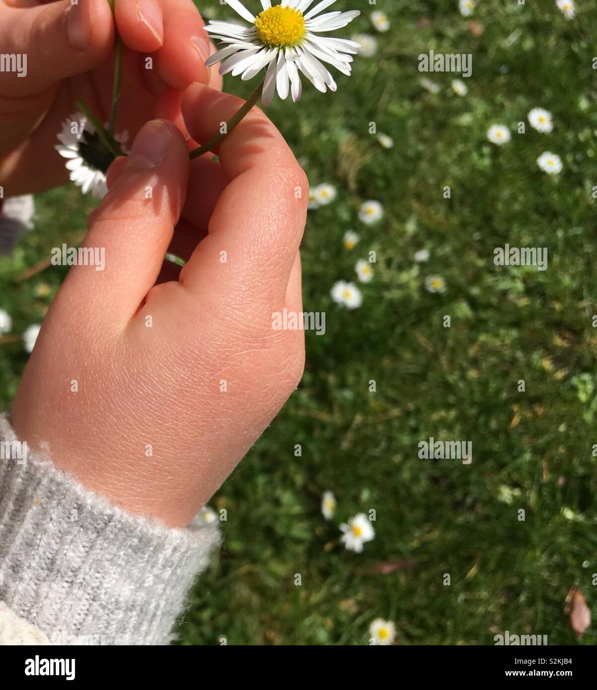 Child making creating hi-res stock photography and images - Alamy