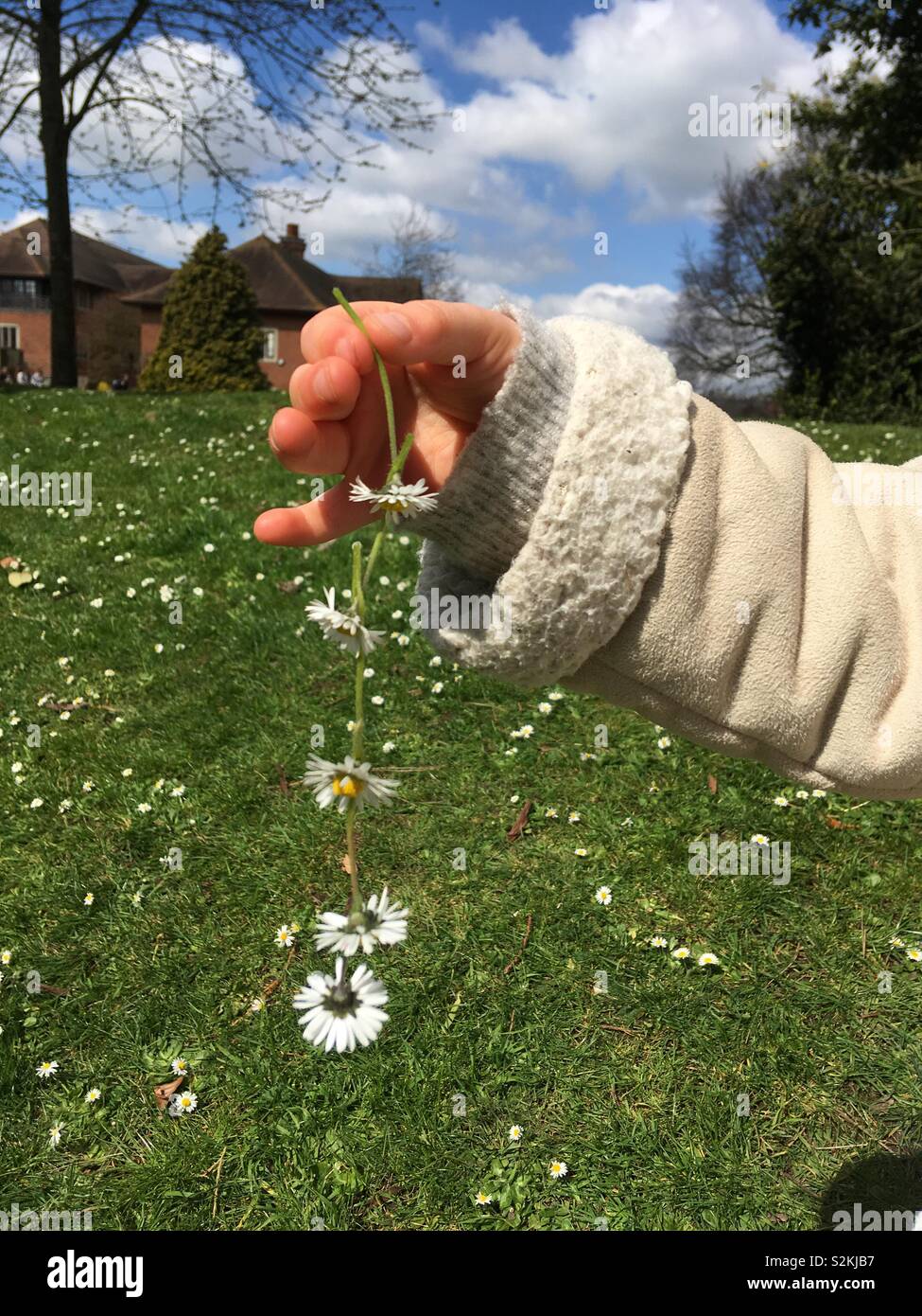 Girl daisy chain hi-res stock photography and images - Alamy