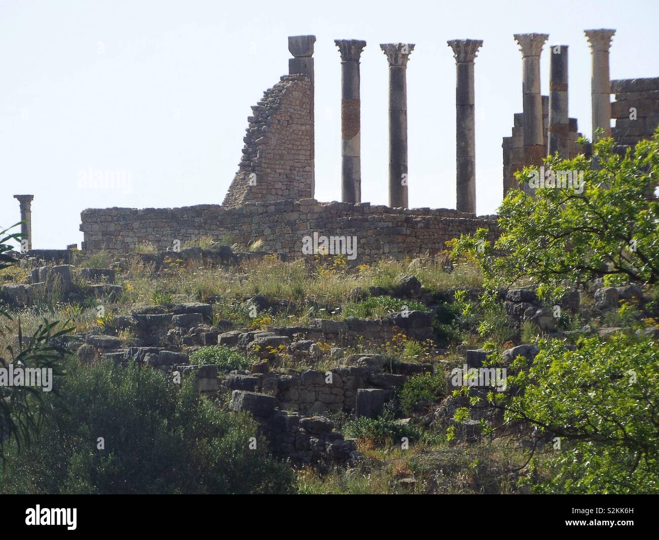 Walili hi-res stock photography and images - Alamy