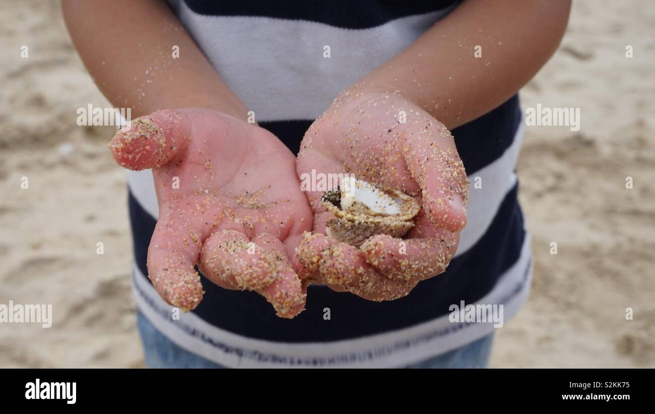 Collecting kids hi-res stock photography and images - Alamy