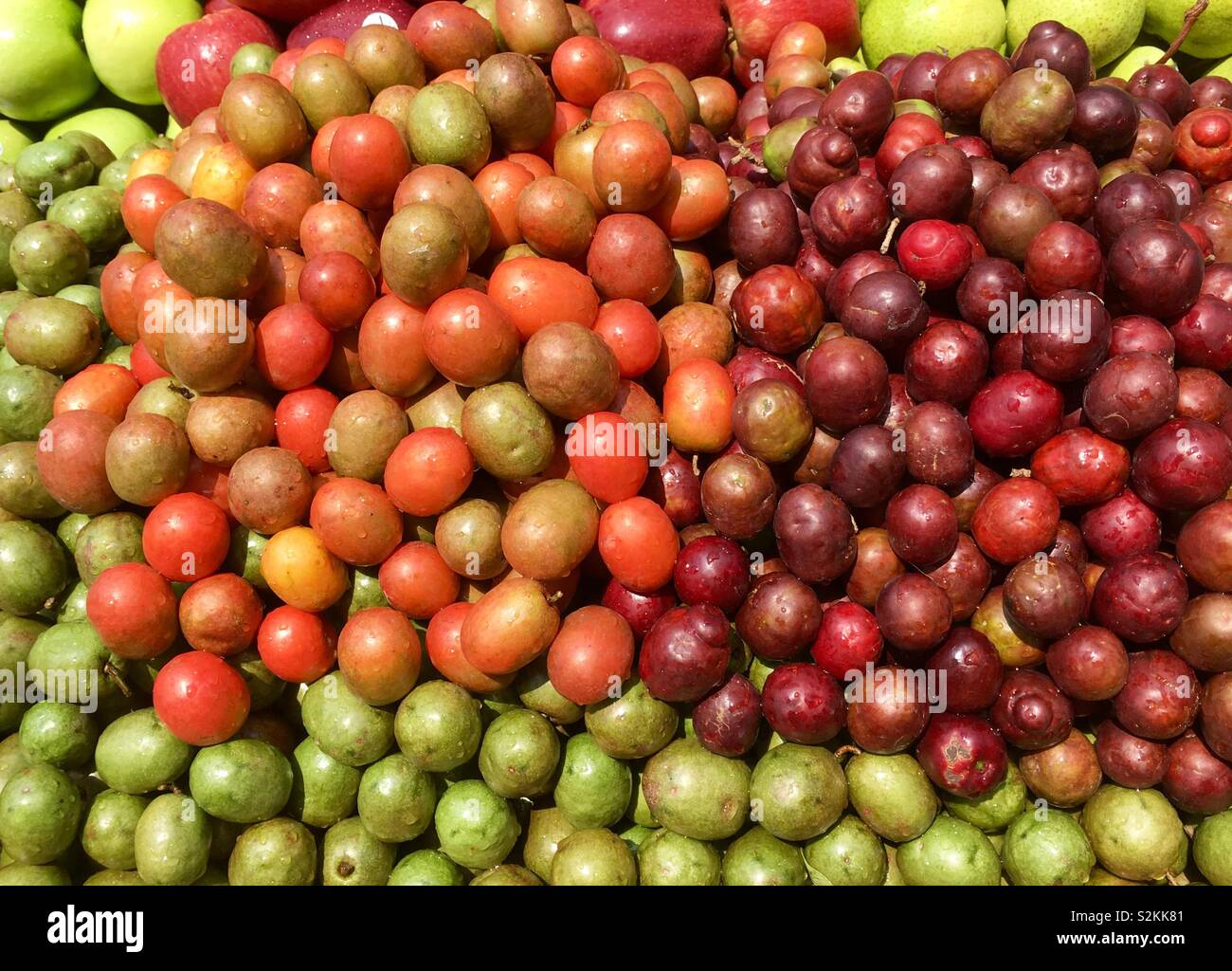 Green and red tropical plums in the market square Stock Photo - Alamy