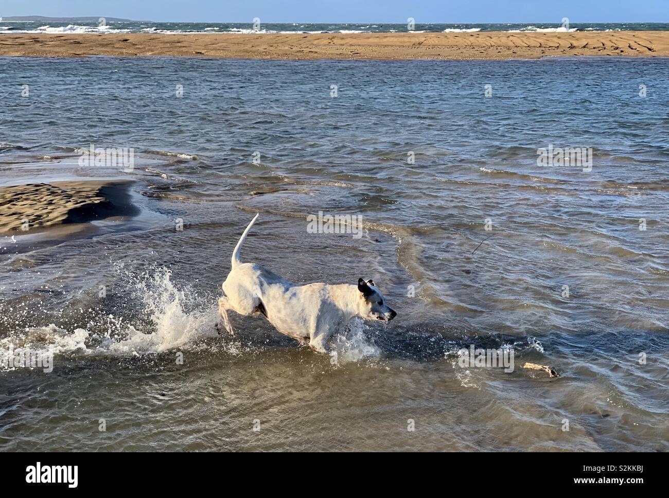 Running through water splash hi-res stock photography and images - Alamy