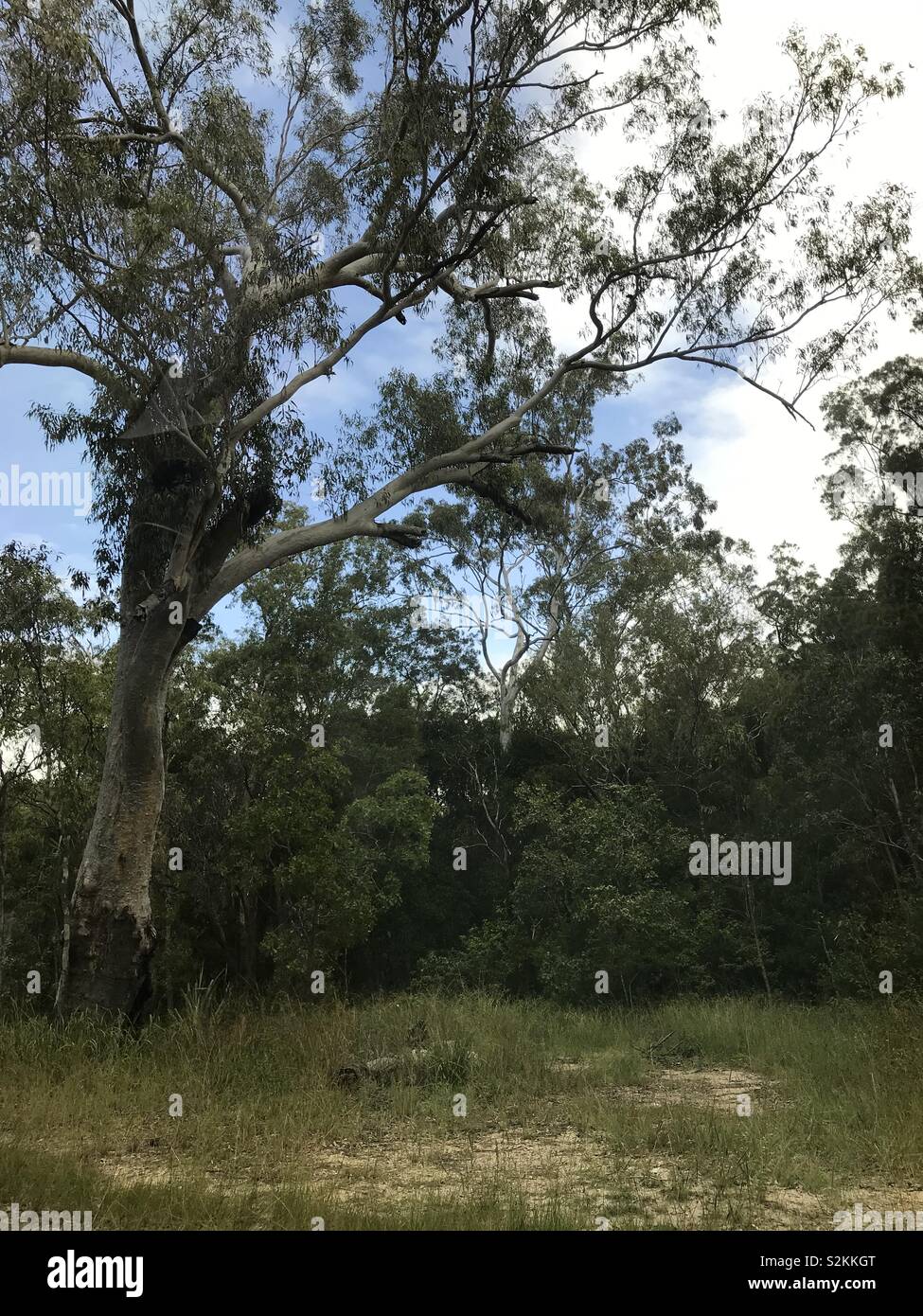 Bush terrain hi-res stock photography and images - Alamy