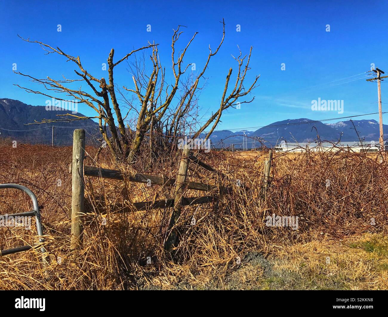 Dead farmland hi-res stock photography and images - Alamy